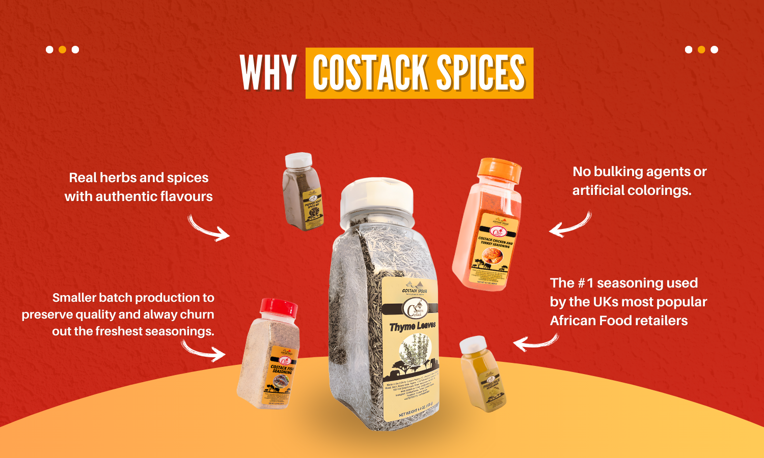 Fried Rice Seasoning Powder | Costack Spices | Shop Now!